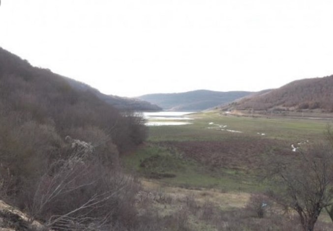 Mister në Prishtinë: Vritet një roje në pyll, askush nuk di për të ...