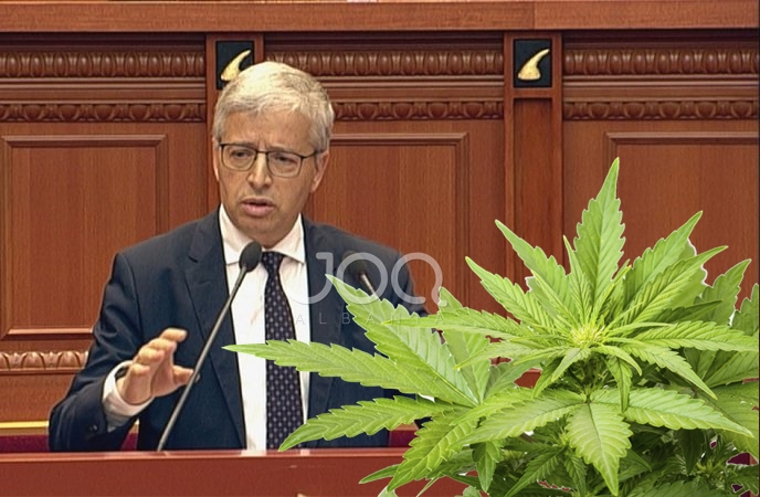 'Shkrin' Sandër Lleshi: Qytetarët janë të sigurt në Shqipëri!