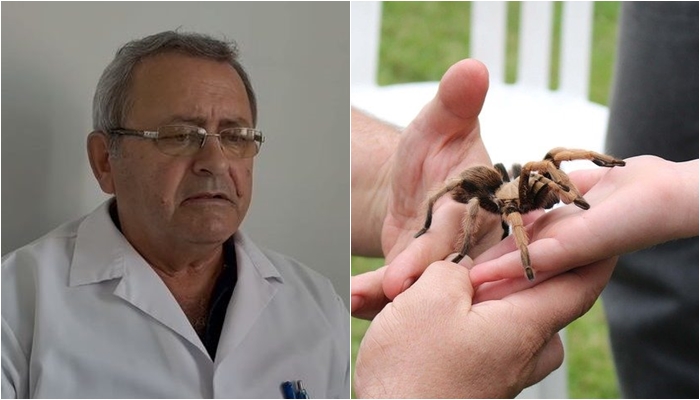 Vapa dhe thatësira shtojnë pickimet nga merimangat në Fier, mjeku: Janë ...