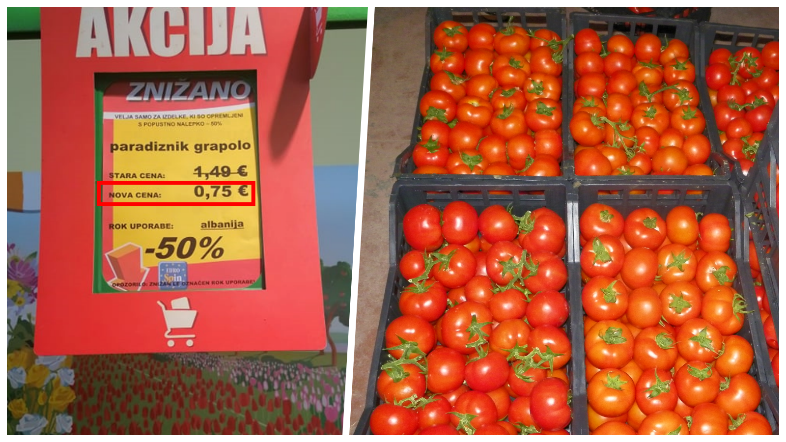 Në Slloveni domatja shqiptare shkon në 75 cent/kg, në Shqipëri 200 lekë ...