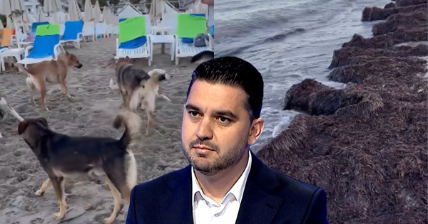 Qentë dhe barishtet pushtojnë plazhin e Golemit, shqetësim për pushuesit