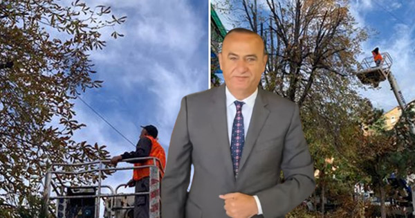 "Ilir Xhakolli dhe inxhinieri Luan Balla po presin pemët 60-vjeçare të ...