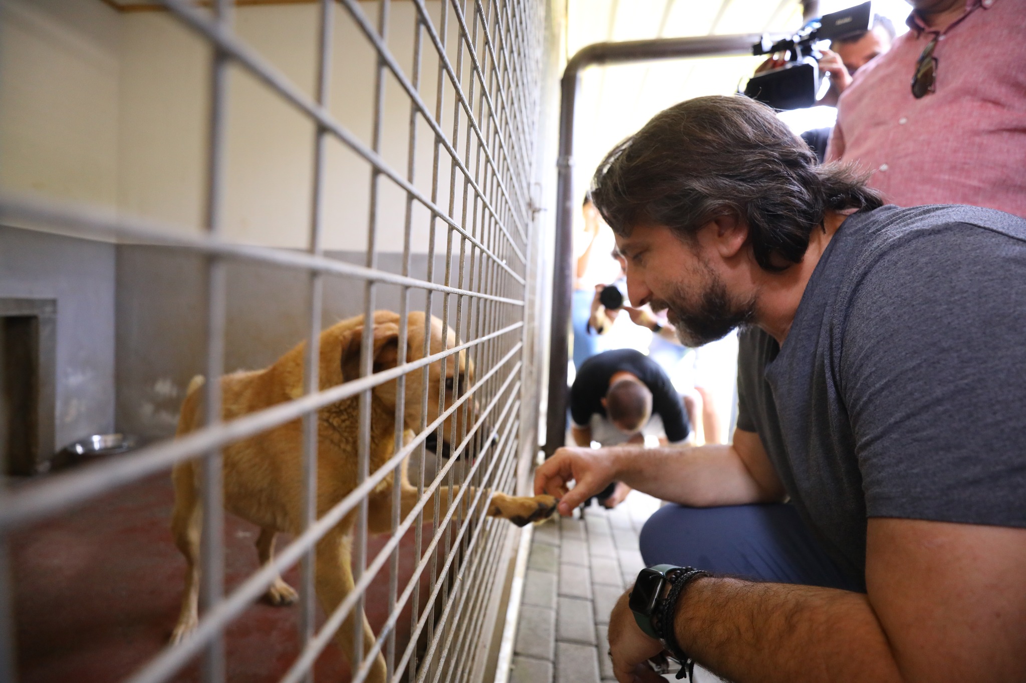 “Përparim Rama e quajti fëmijën qen endacak”