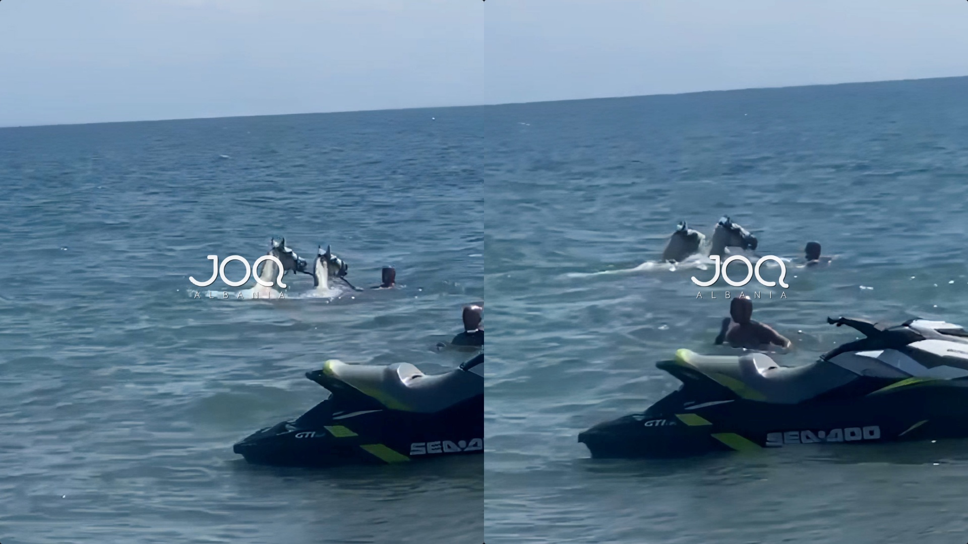 Burri merr kuajt dhe i tërheq në mes të detit